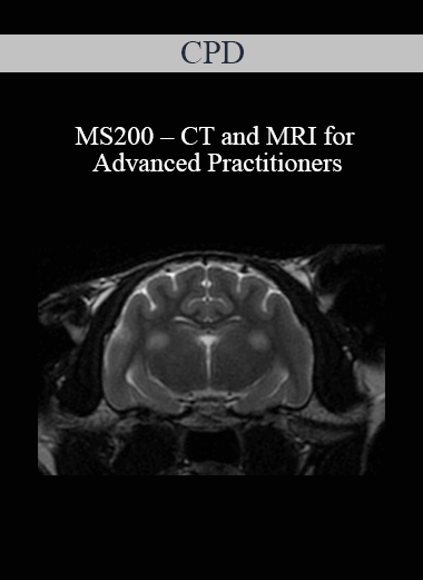 CPD - MS200 – CT and MRI for Advanced Practitioners - WSO.lib